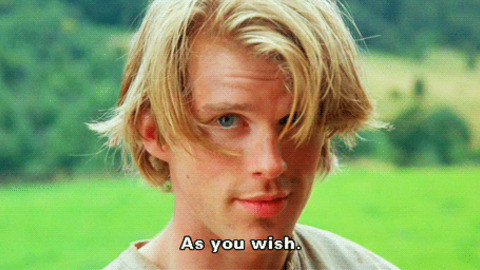 the princess bride